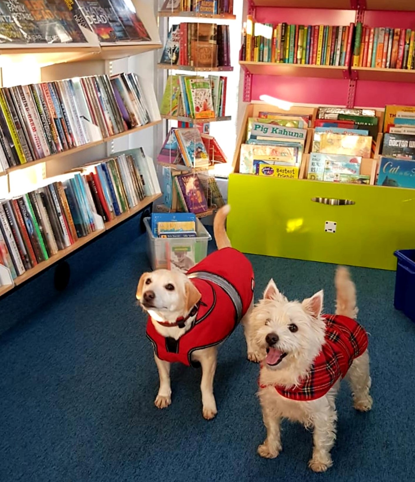 Stirling libraries now offer more items for collection as part of ...