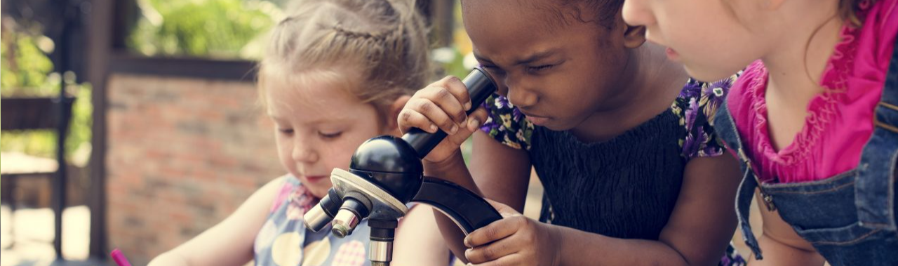 Stirling's first Science Festival goes online next month - Brig Newspaper