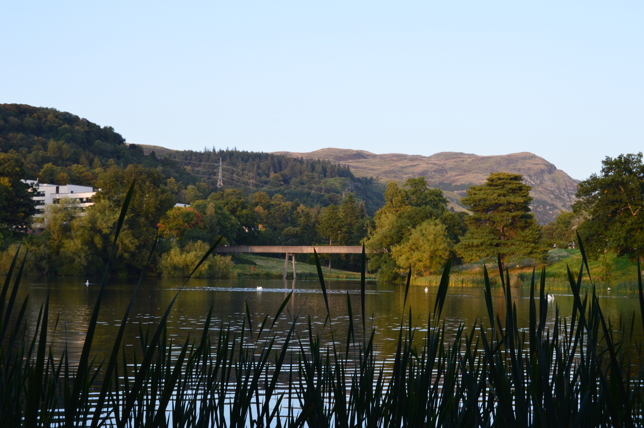 Stirling PhD student dies - Brig Newspaper