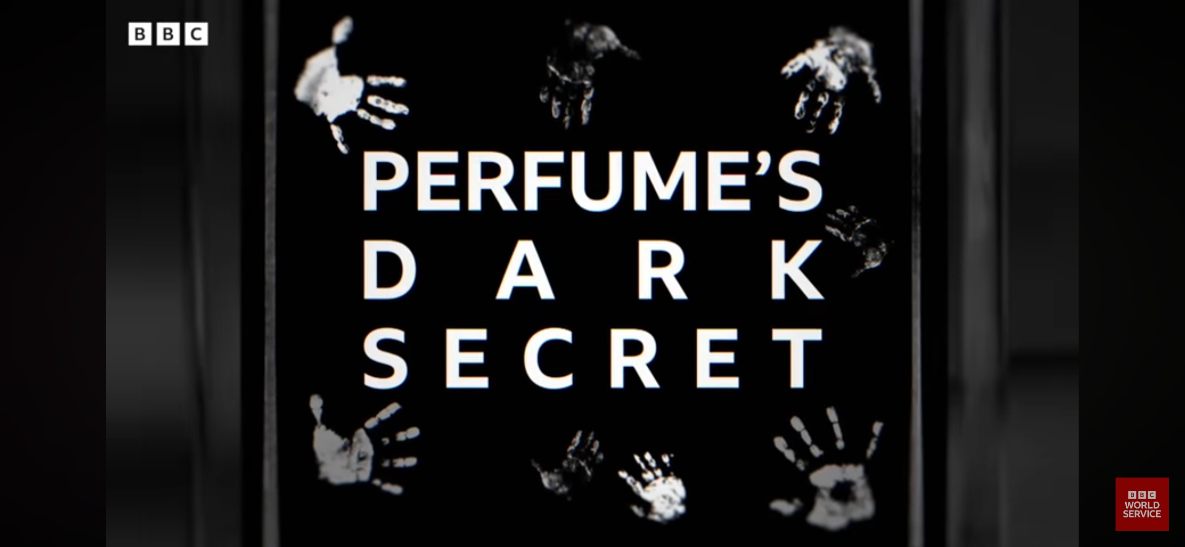 Perfume’s Dark Secret: documentary insight on child labour in Egypt ...