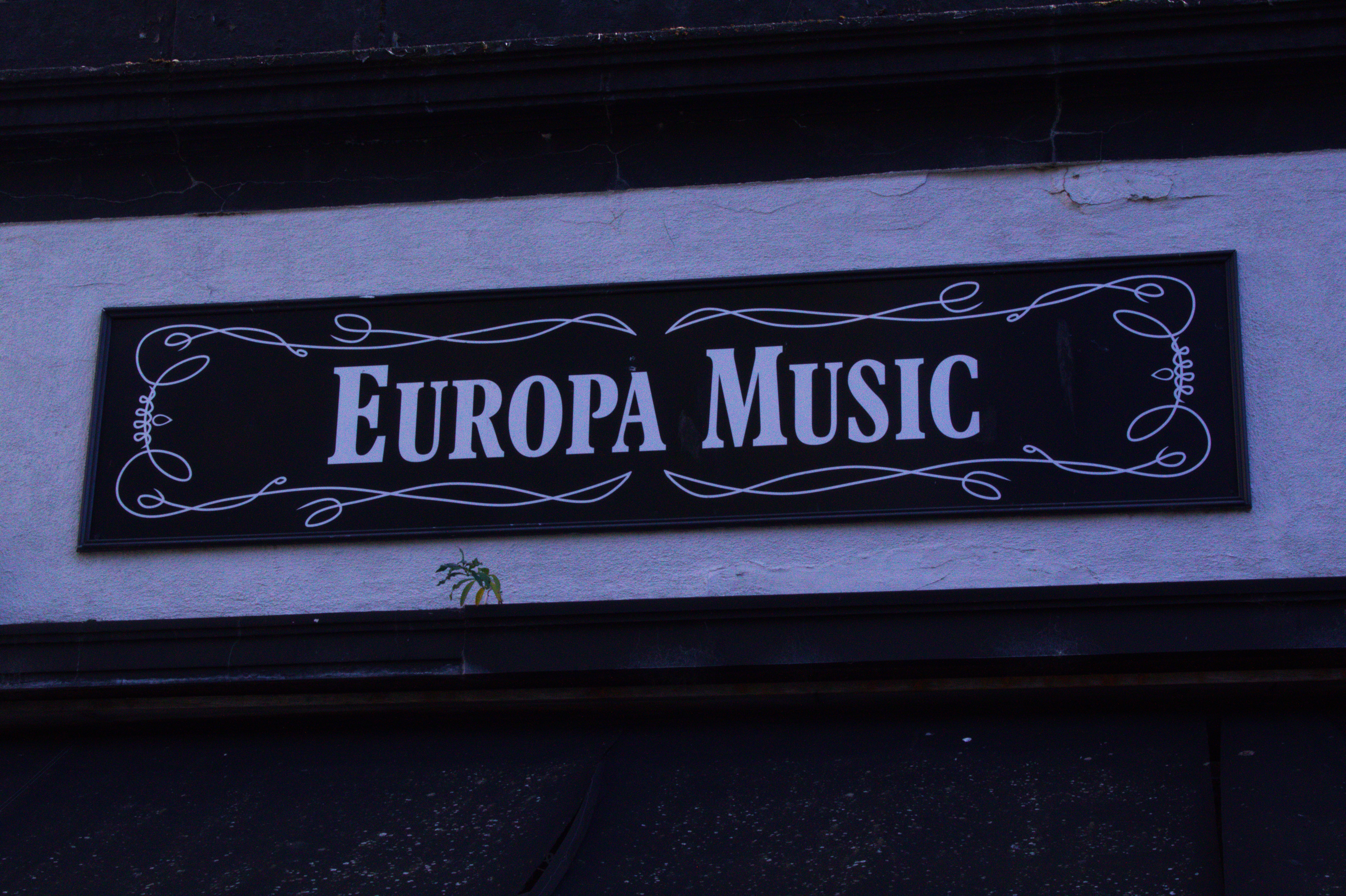 Europa Music: The Beating Heart of Stirling’s Music Scene - Brig Newspaper